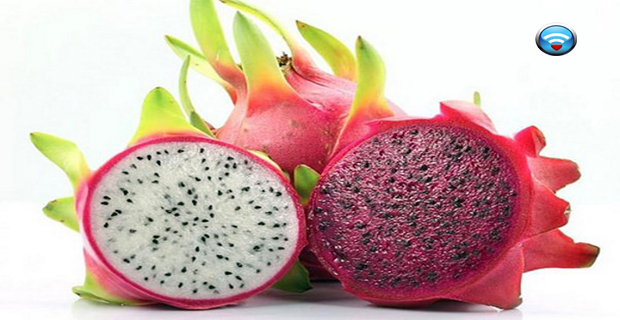 ¿Por qué aumentan las pechos de las mujeres? - Conecta Salud