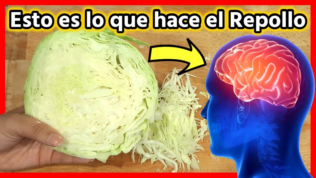beneficios del repollo - Conecta Salud